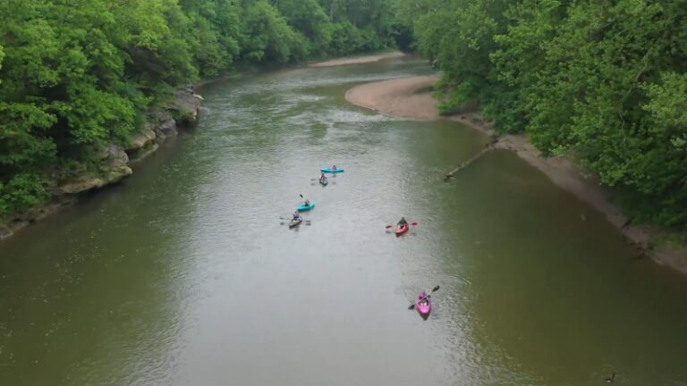 8 Things to Do at Turkey Run State Park for First-Time Visitors ...