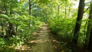 8 Things to Do at Turkey Run State Park for First-Time Visitors ...